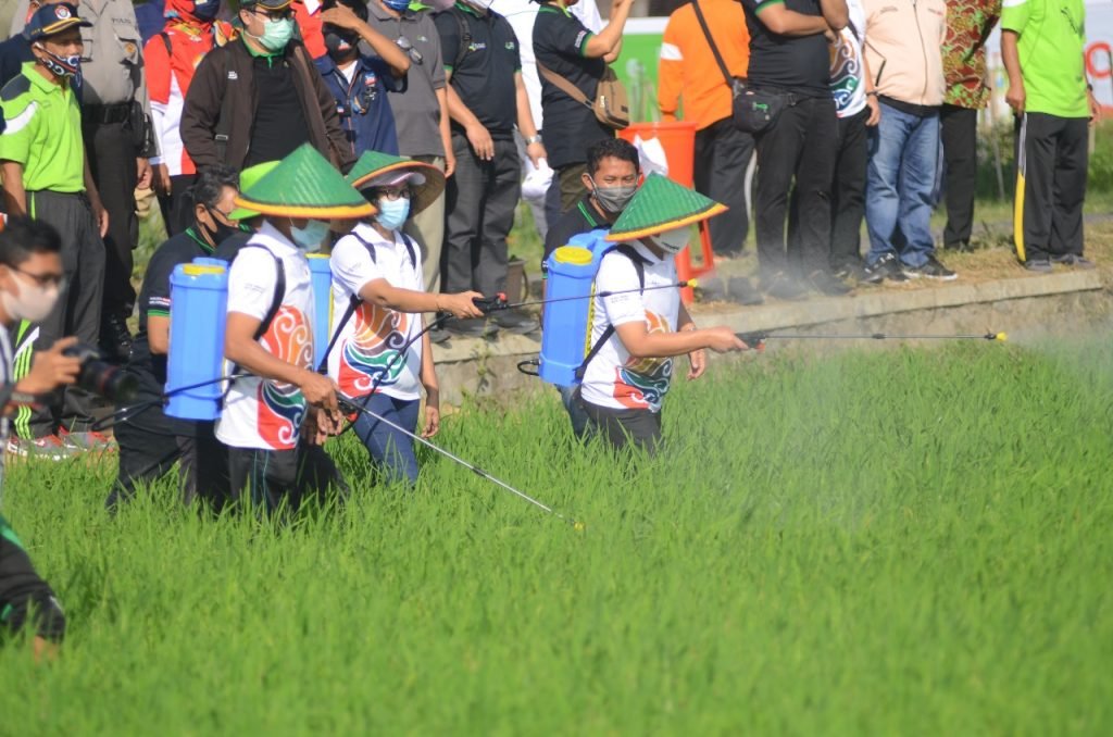 NPK Kebomas Petrokimia Gresik Lalui Proses Research and Development ...